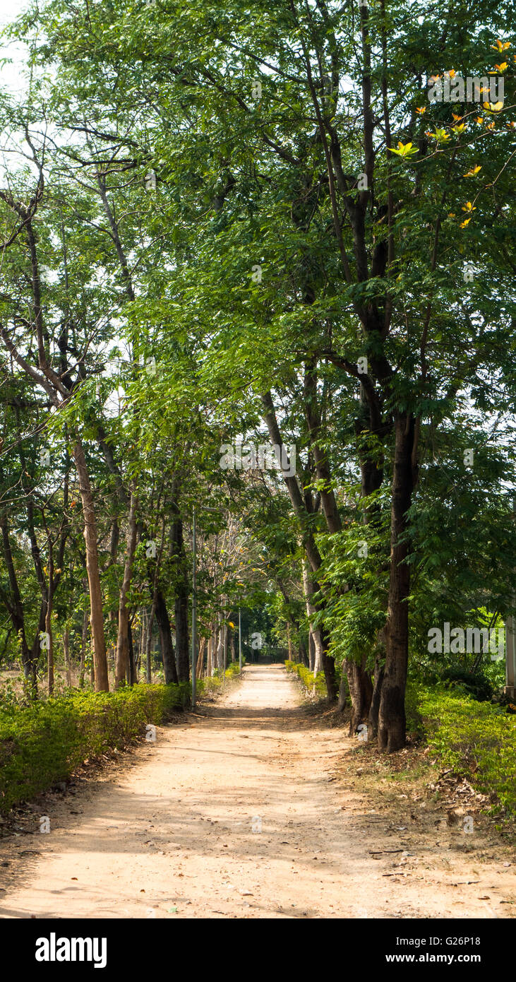 Track and hedges hi-res stock photography and images - Alamy