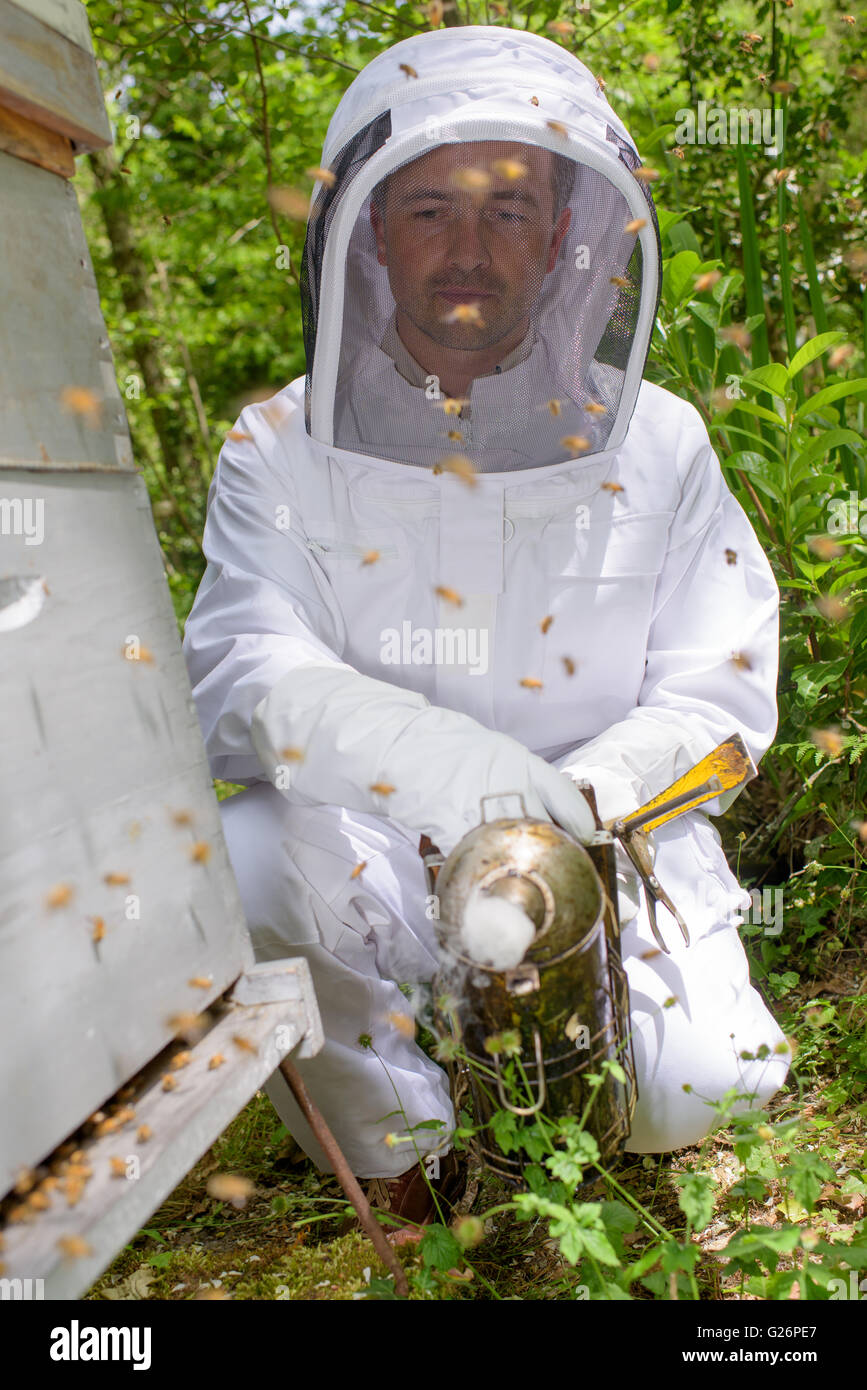 Man next to bee hive Stock Photo - Alamy