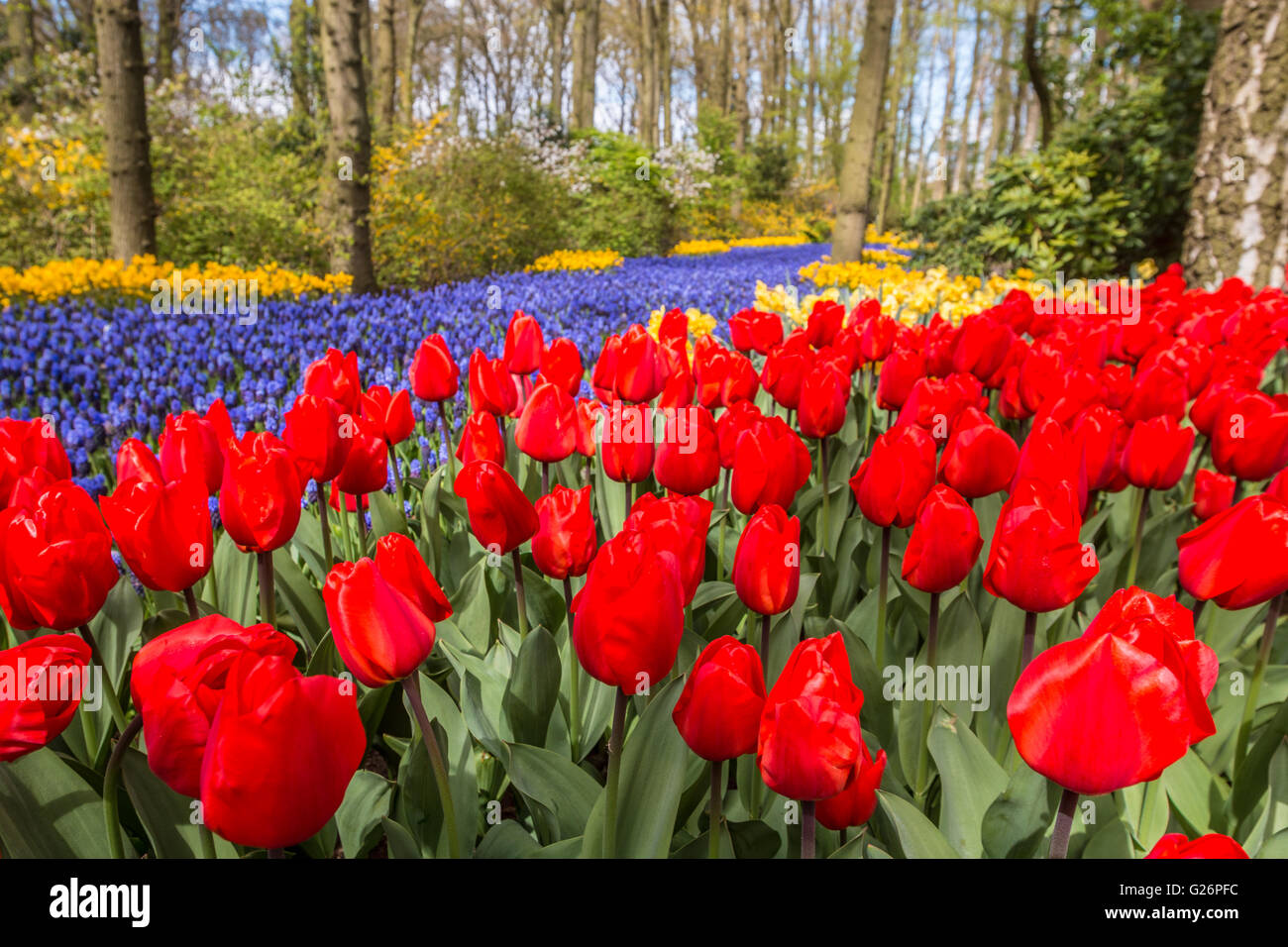 Beautiful spring gardens in bloom Stock Photo - Alamy