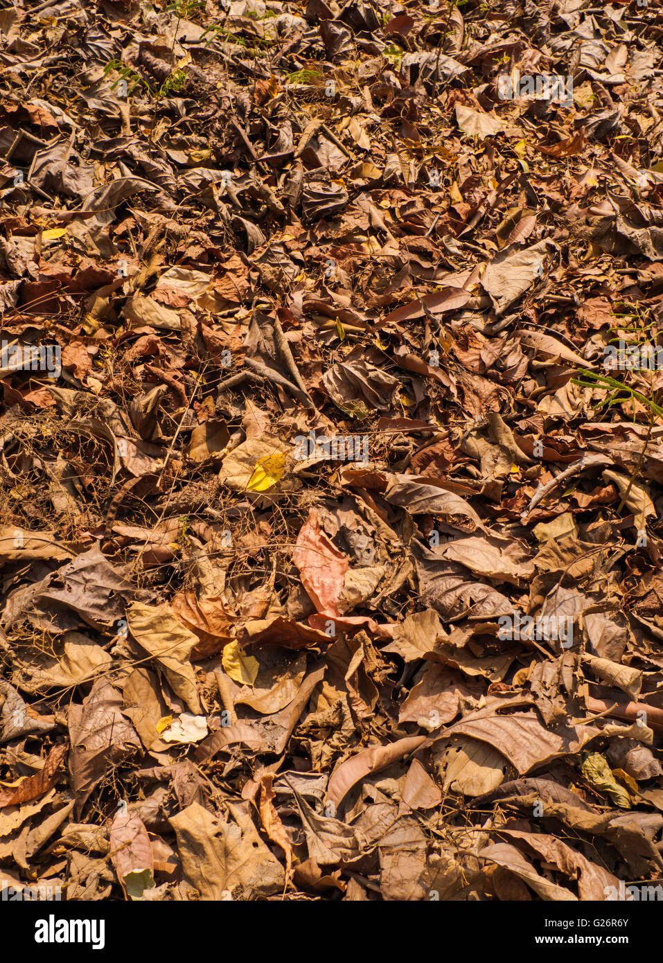 Tonal perspective hi-res stock photography and images - Alamy
