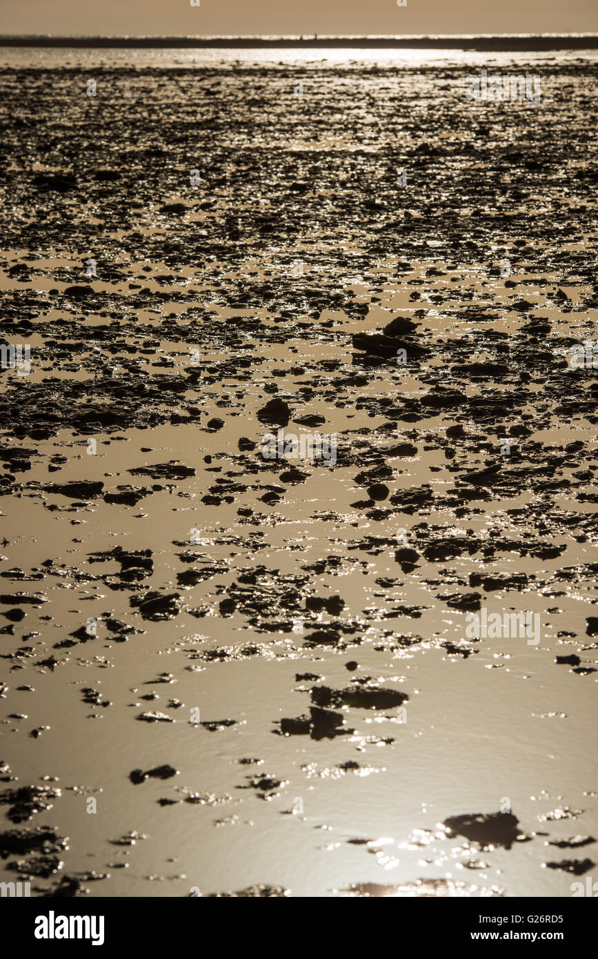 Sand stones under sunny hi-res stock photography and images - Alamy