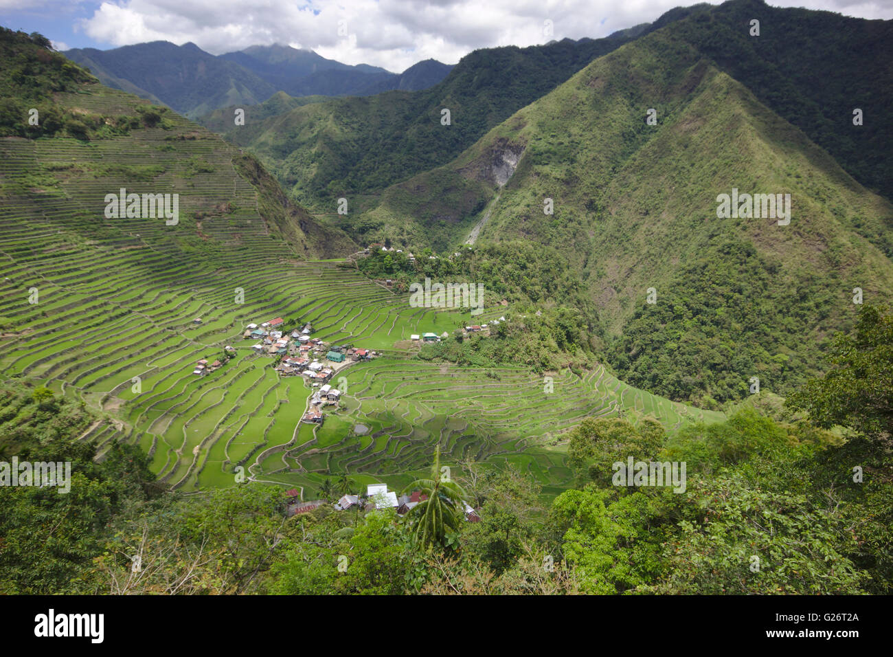 Cordillera philippines rice hi-res stock photography and images - Alamy