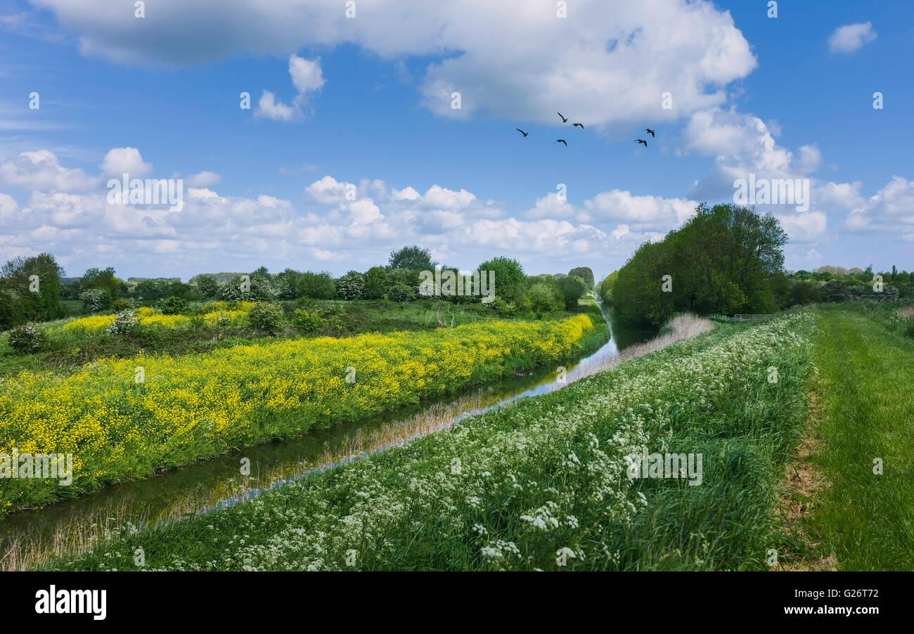 Barmston drain hi-res stock photography and images - Alamy