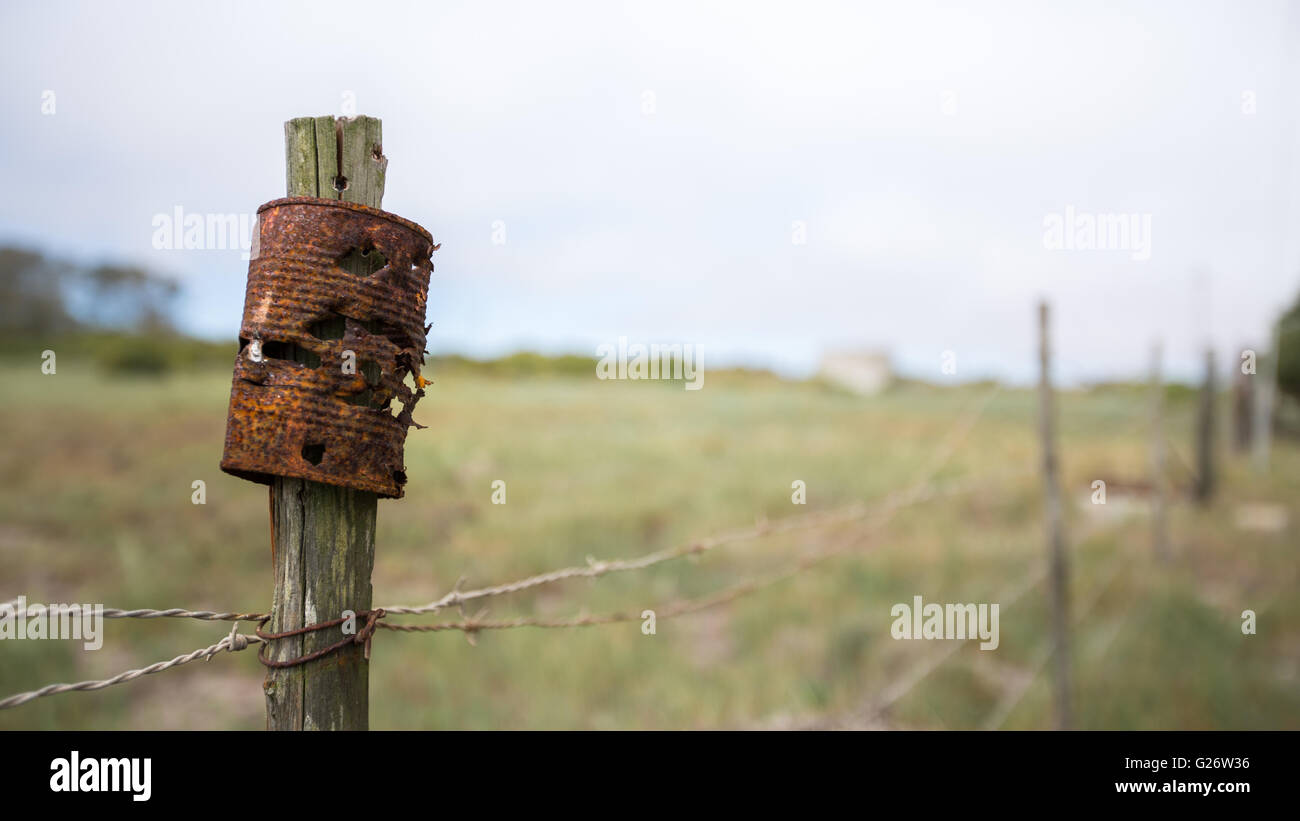Rusted Tin Can used for Target Practice sits on an old fence Stock ...