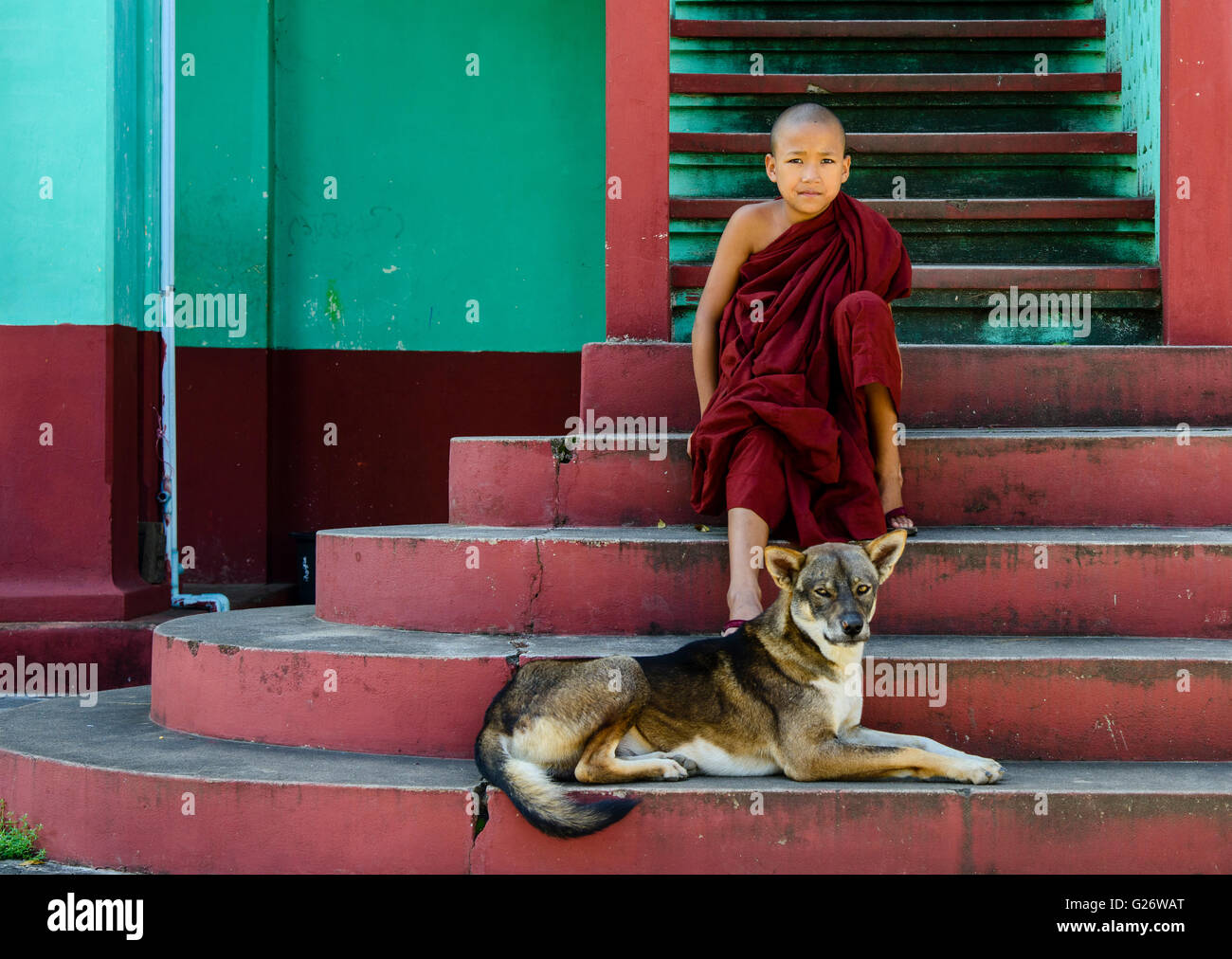 Myanmar dog hi-res stock photography and images - Alamy