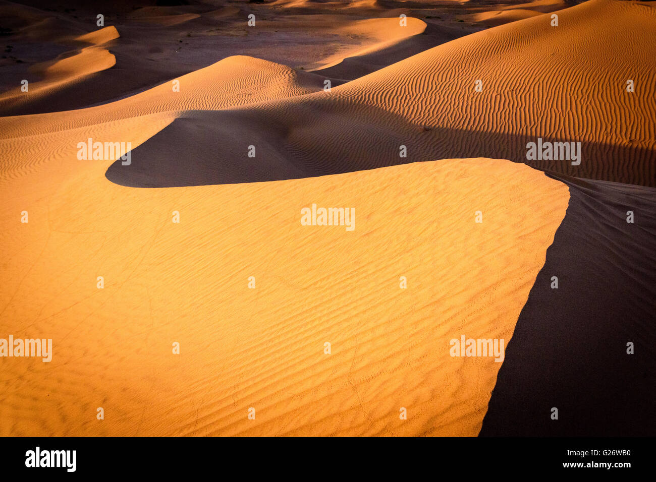Blown sand in the Sahara Desert, Morocco Stock Photo - Alamy