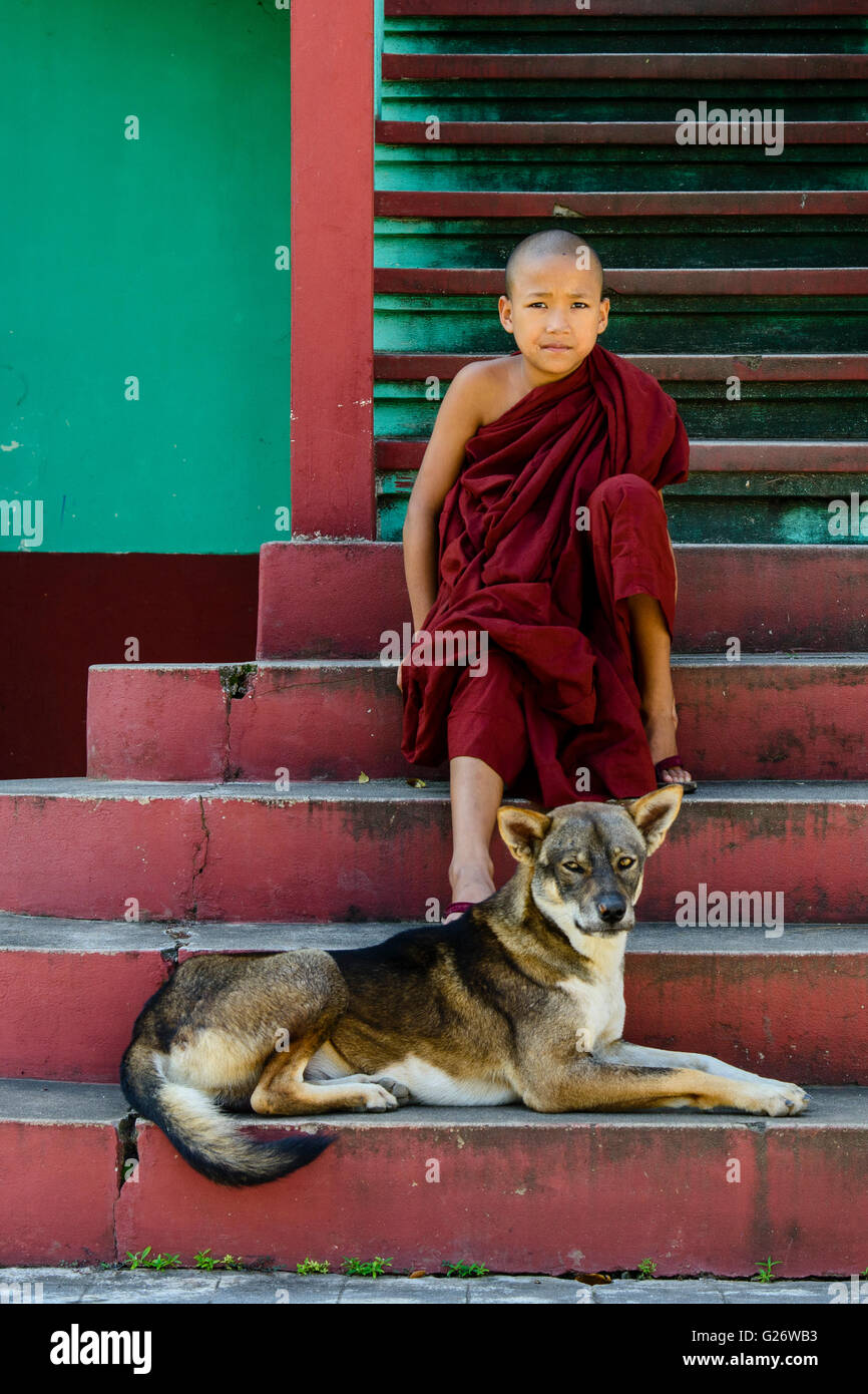 Myanmar dog hi-res stock photography and images - Alamy