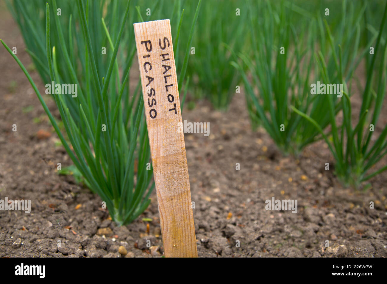 Row label hi-res stock photography and images - Alamy