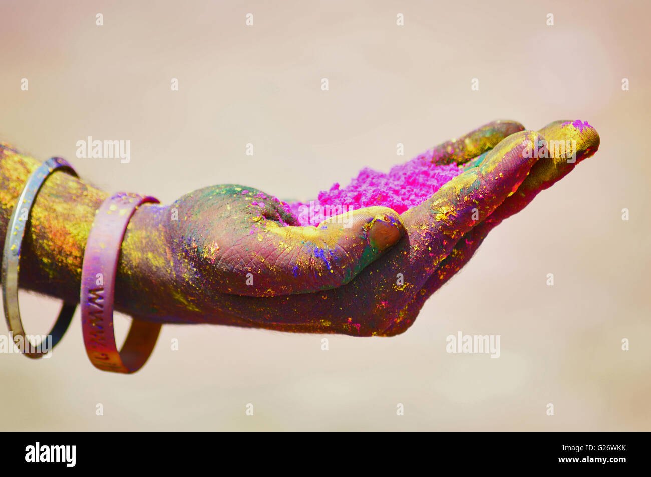 Hand full of color during Holi (Festival of Colours), Pune, Maharashtra ...