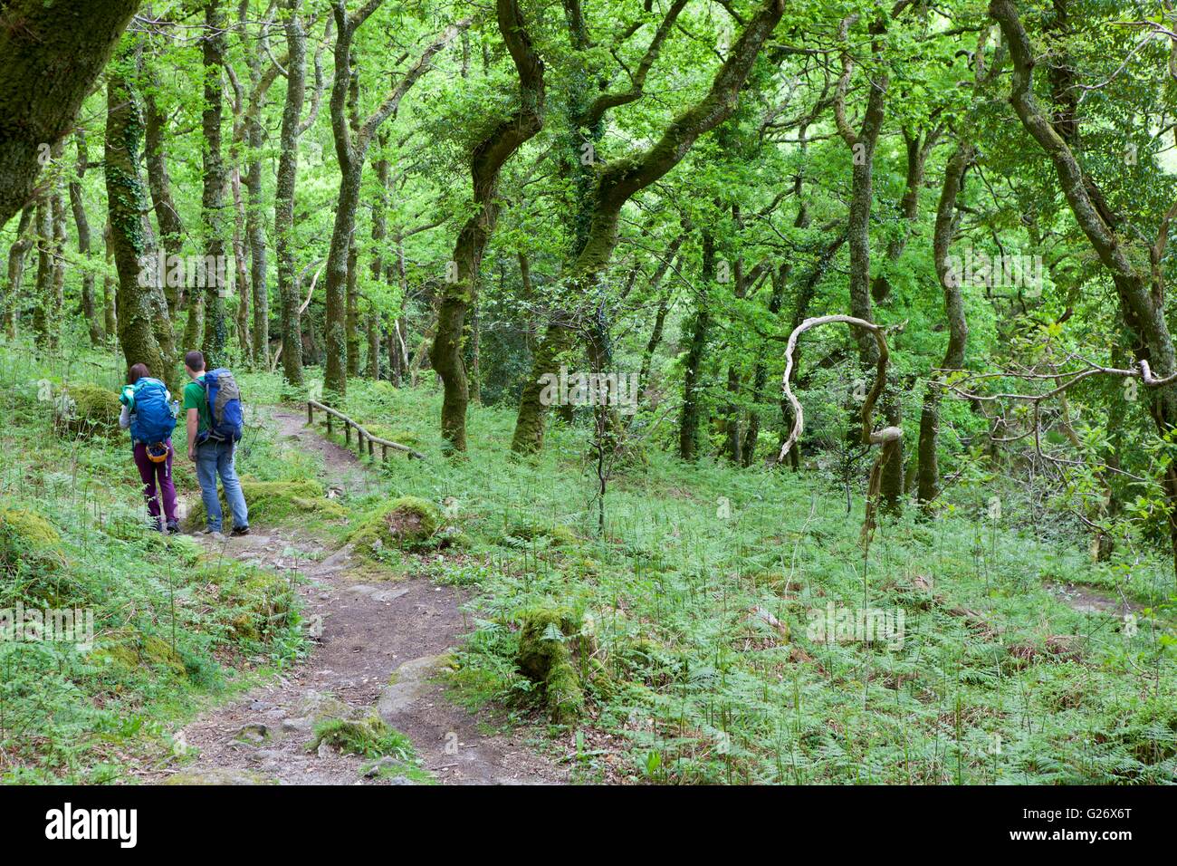 Walking in devon hi-res stock photography and images - Alamy