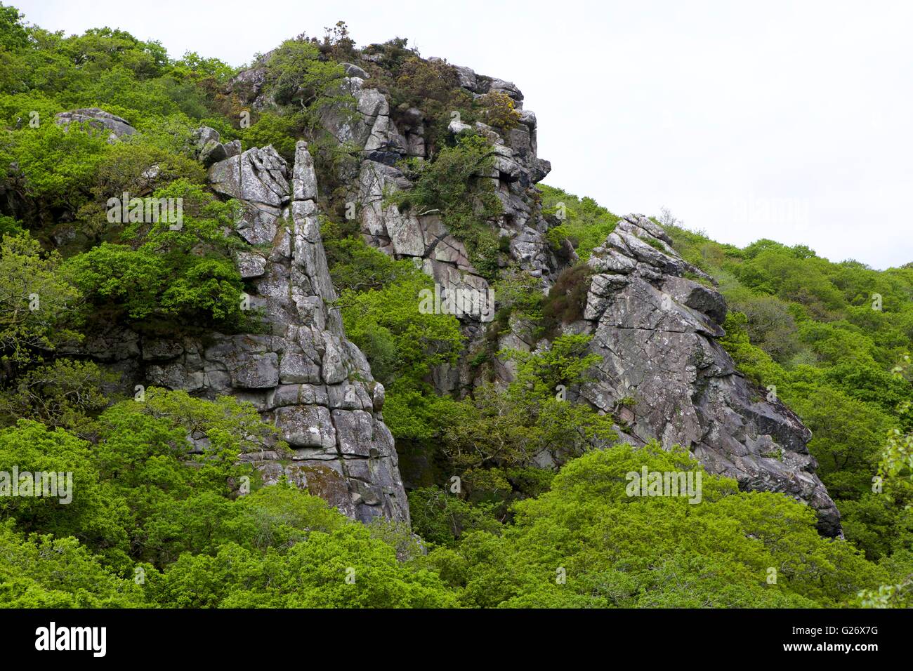 The Dewerstone, near Shaugh Bridge, Dewerstone Wood, Dartmoor, Devon ...