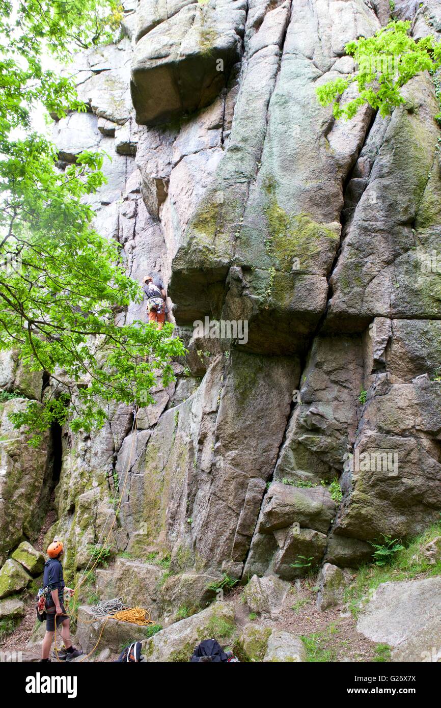 Dewerstone shaugh bridge wood dartmoor devon hi-res stock photography ...