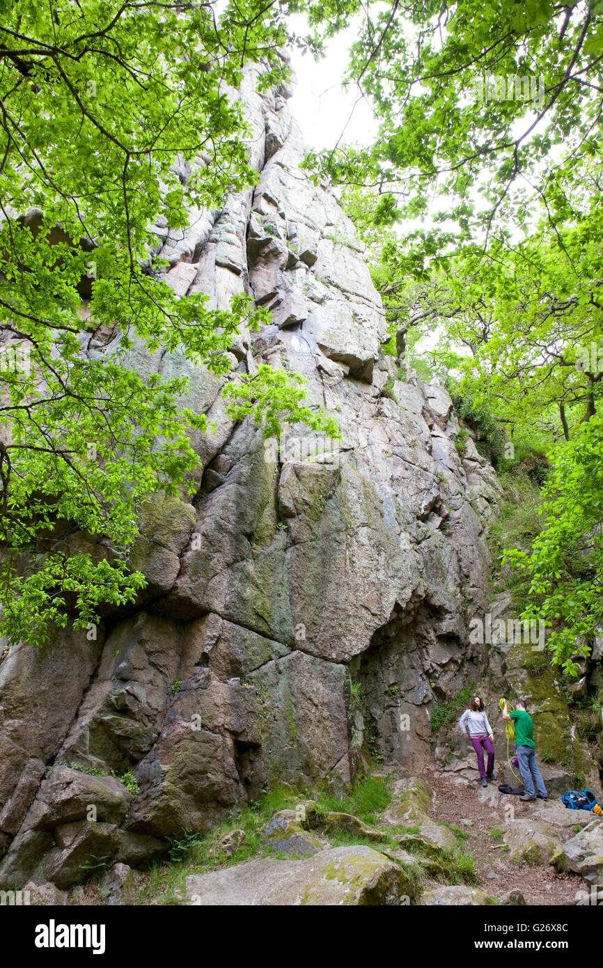 Climbers at The Dewerstone, near Shaugh Bridge, Dewerstone Wood ...