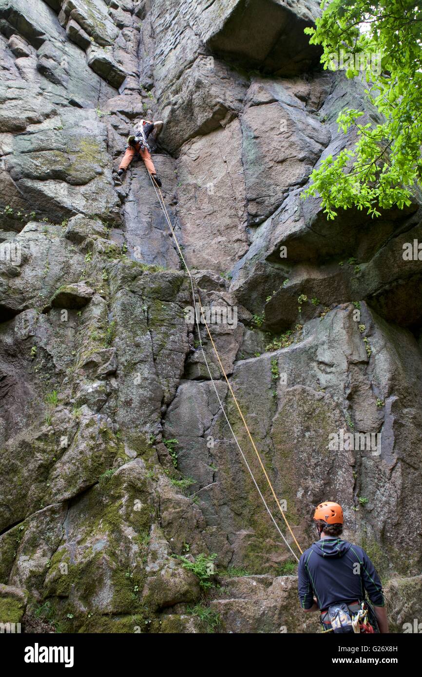 Dewerstone shaugh bridge wood dartmoor devon hi-res stock photography ...