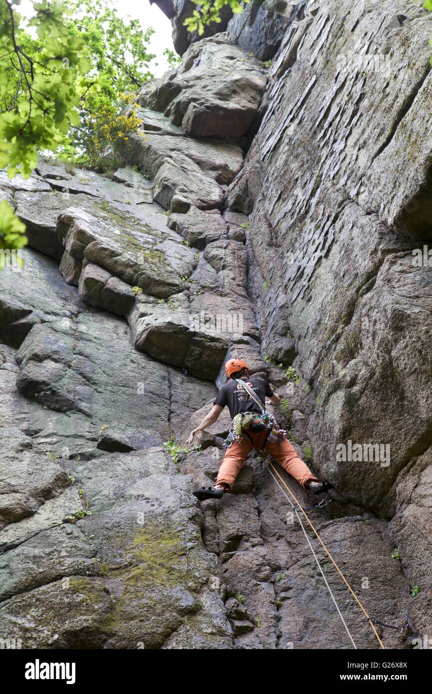 Climber climbing The Dewerstone, near Shaugh Bridge, Dewerstone Wood ...