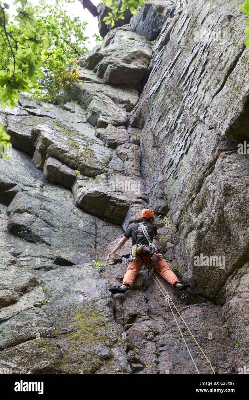Dewerstone shaugh bridge wood dartmoor devon hi-res stock photography ...