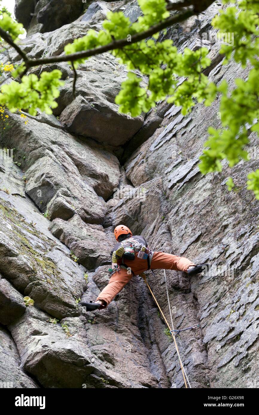 Dewerstone shaugh bridge wood dartmoor devon hi-res stock photography ...