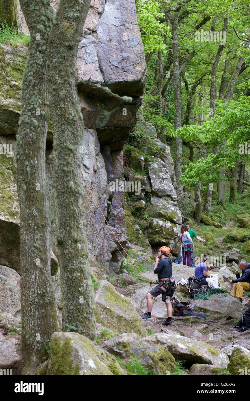 Climbers preparing to climb The Dewerstone, near Shaugh Bridge ...