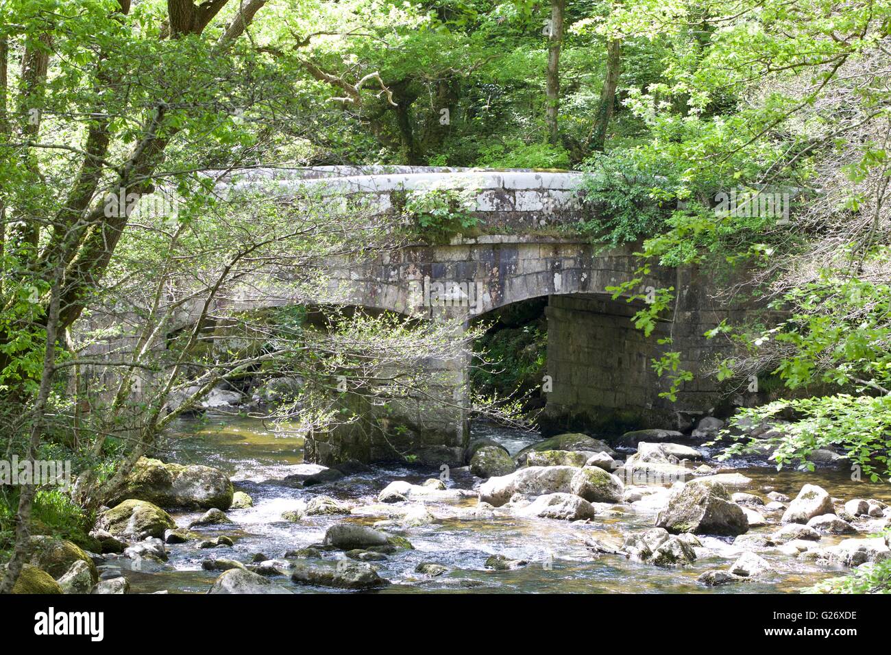 Shaugh Bridge, River Plym, Shaugh Prior, Dartmoor National Park Stock ...