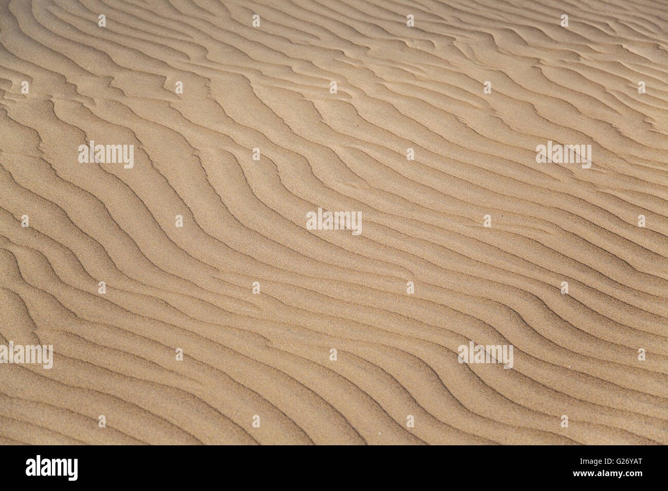 Close up view at sand texture Stock Photo - Alamy