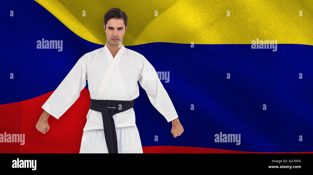 Composite image of male karate player posing on white background Stock ...