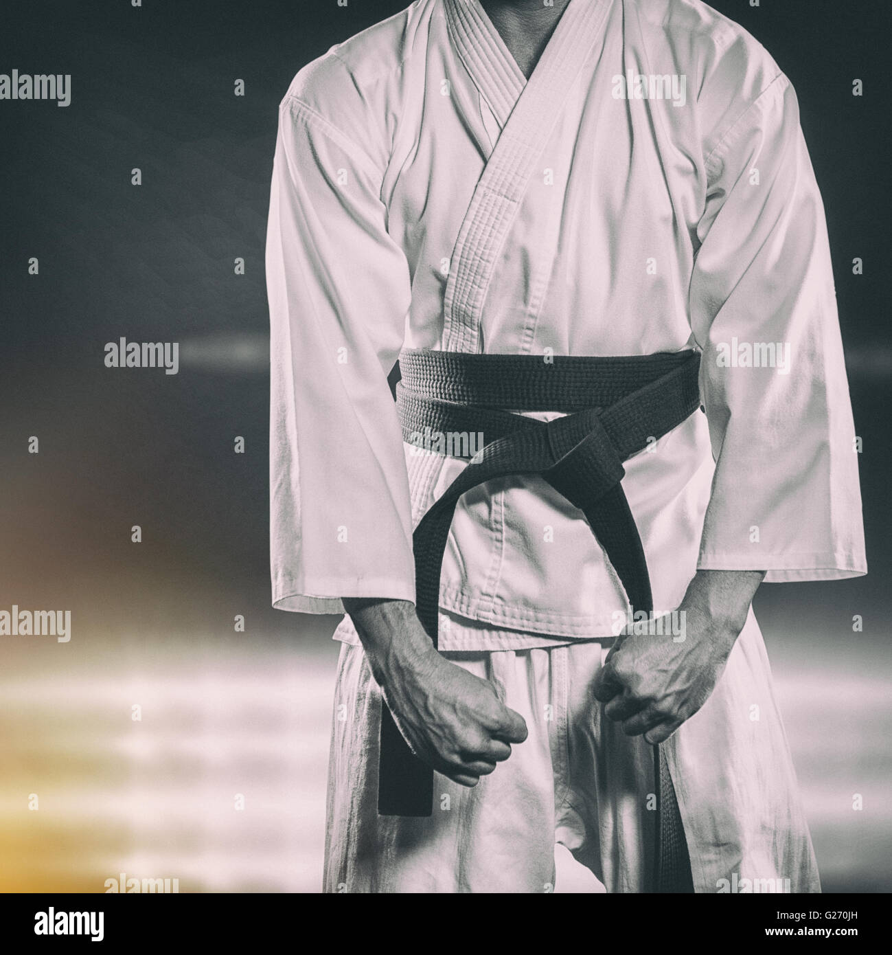 Composite image of fighter performing karate stance Stock Photo - Alamy