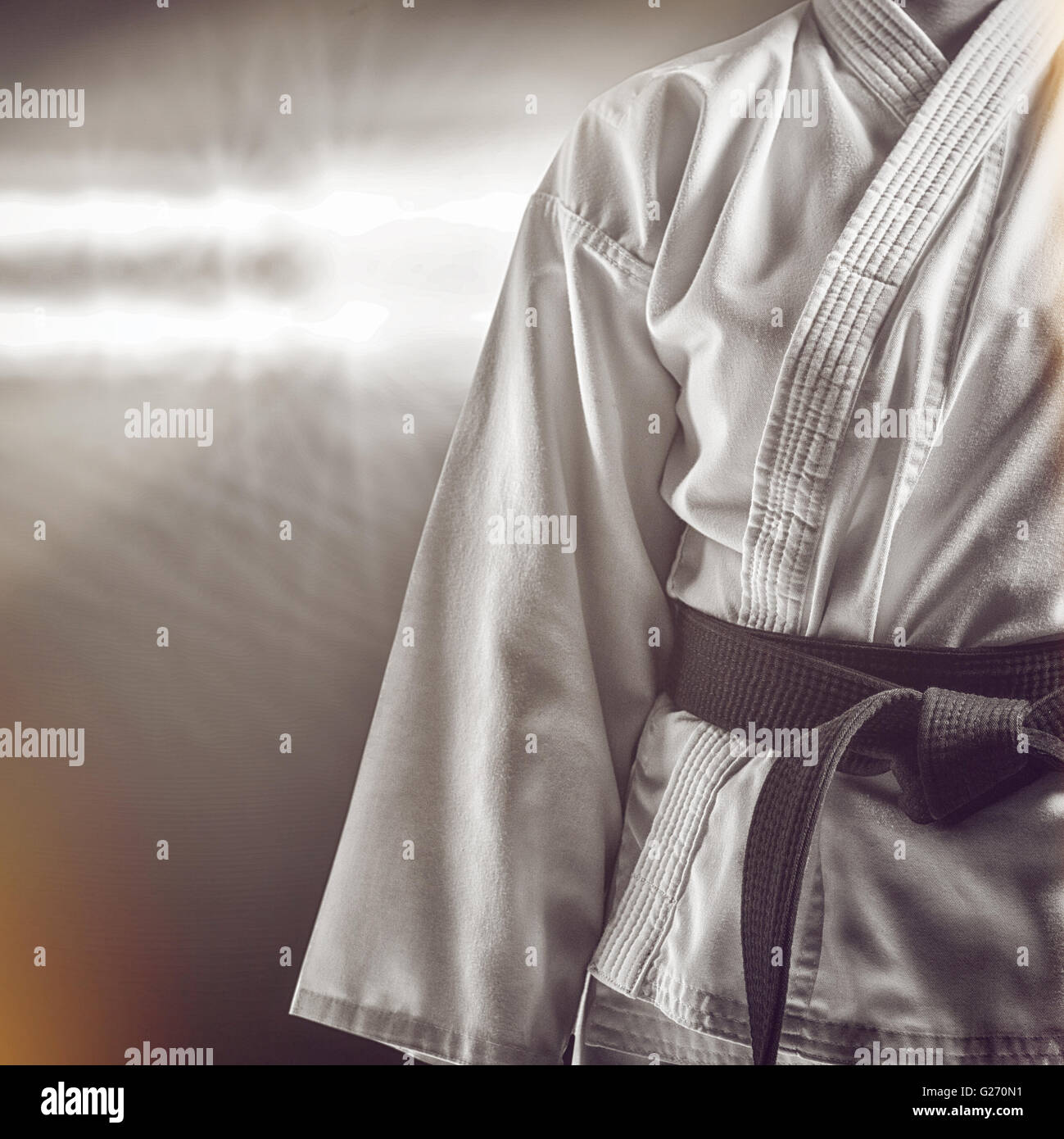 Karate player hi-res stock photography and images - Alamy