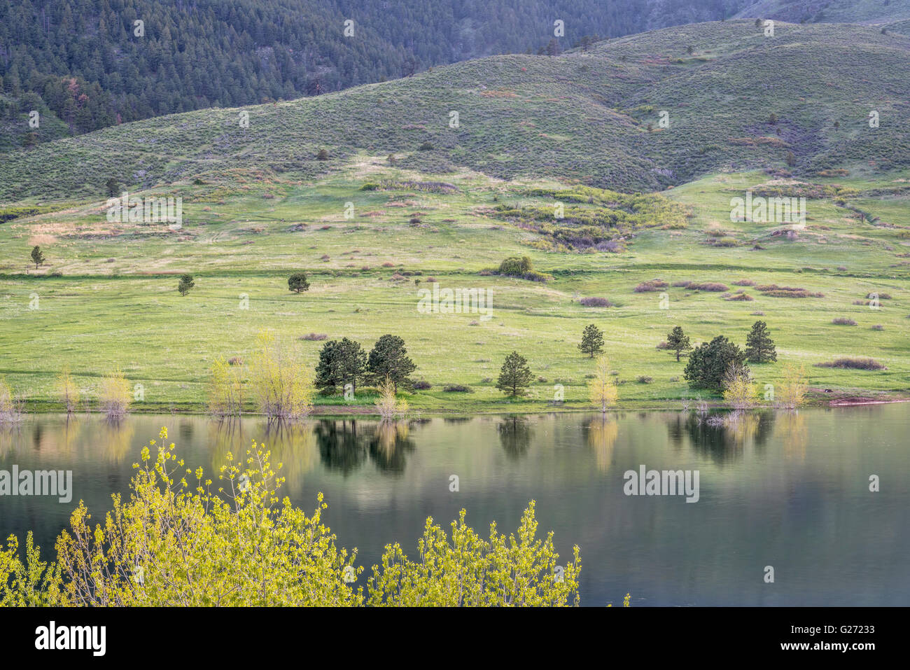 Lory state park hi-res stock photography and images - Alamy