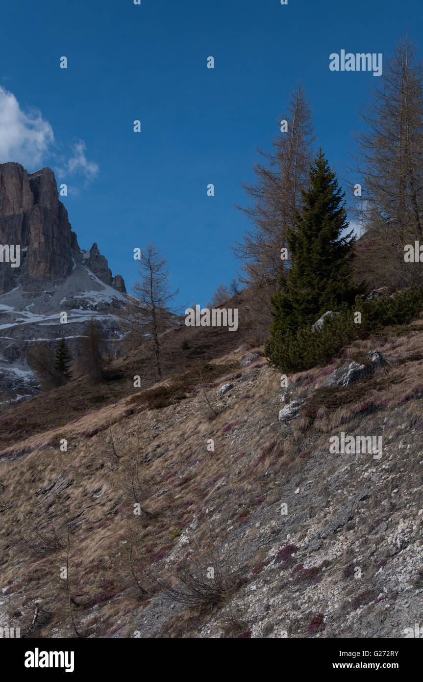 Tour passo passo hi-res stock photography and images - Alamy