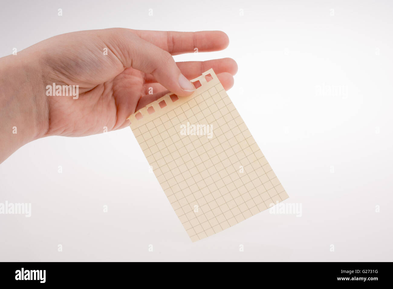 Hand holding a piece of checked paper on a white background Stock Photo ...