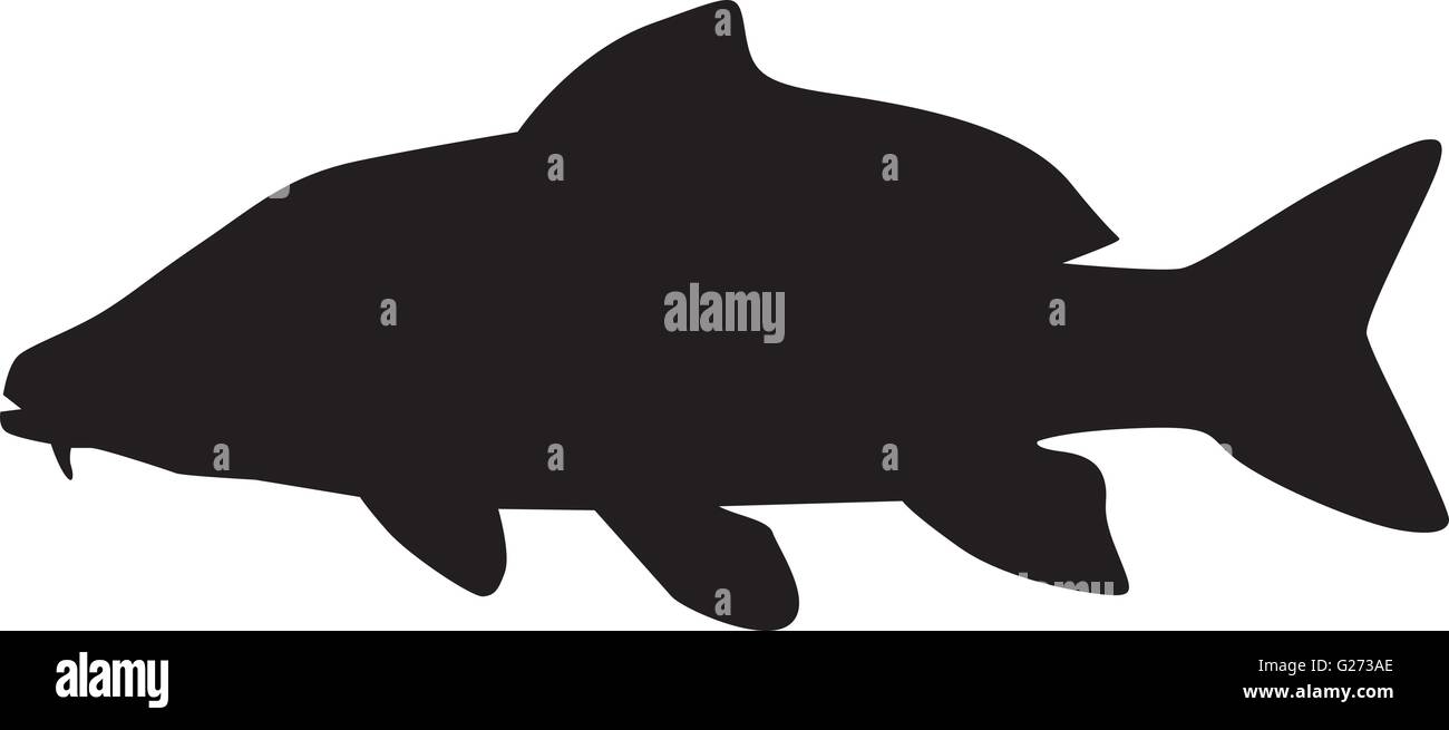 Carp silhouette hi-res stock photography and images - Alamy