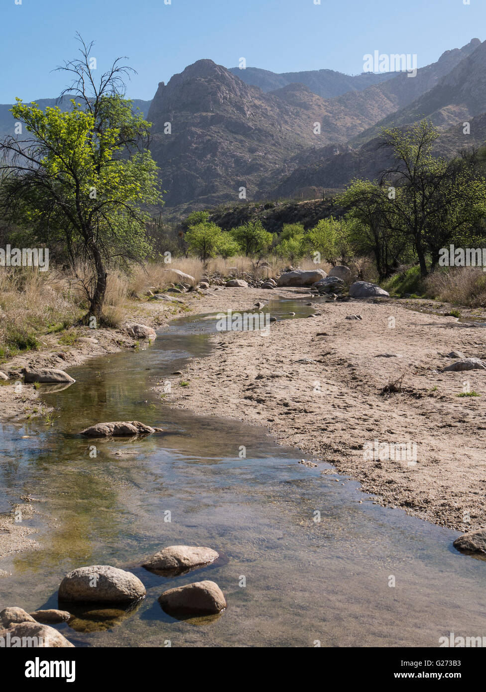 Sutherland Wash, Santa Catalina Mountains near Tucson, Arizona Stock ...