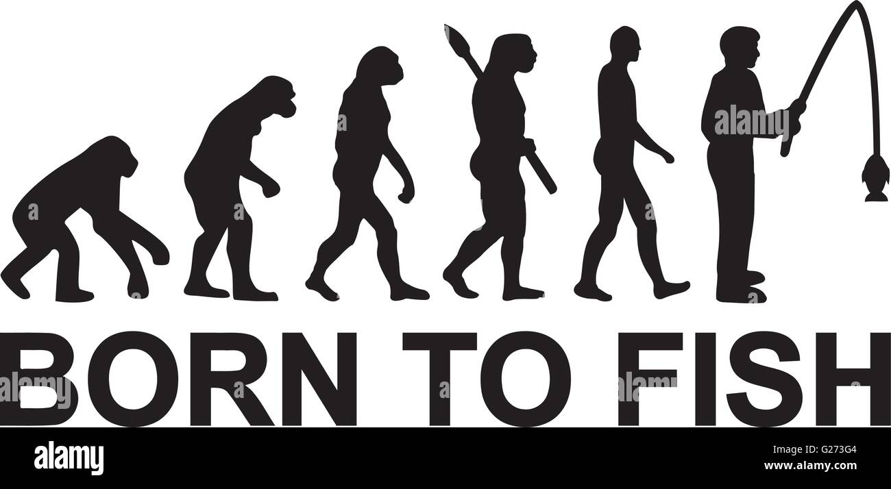 Born to fish Evolution Fisherman Stock Vector Image & Art - Alamy