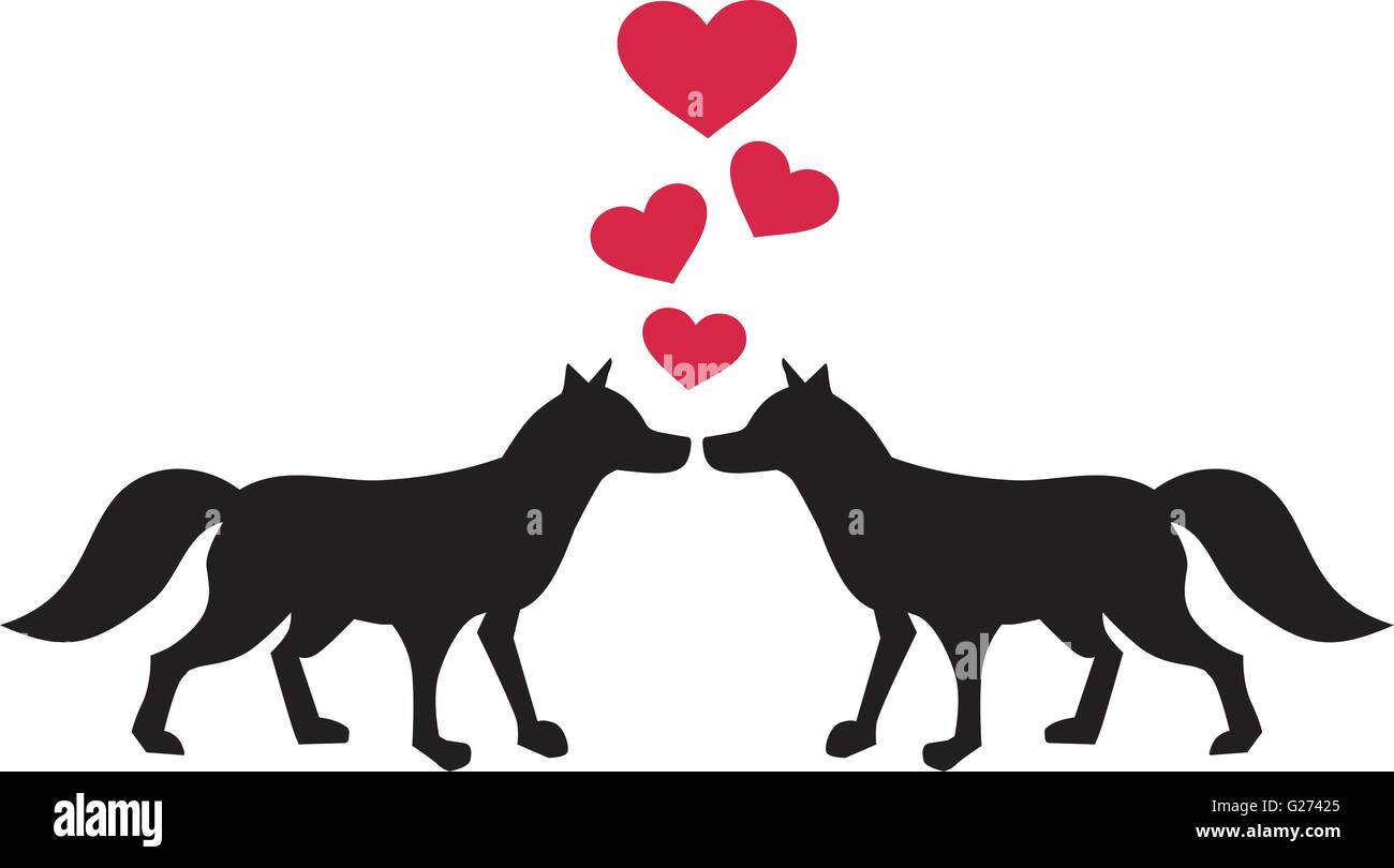 Wolf Fox Love