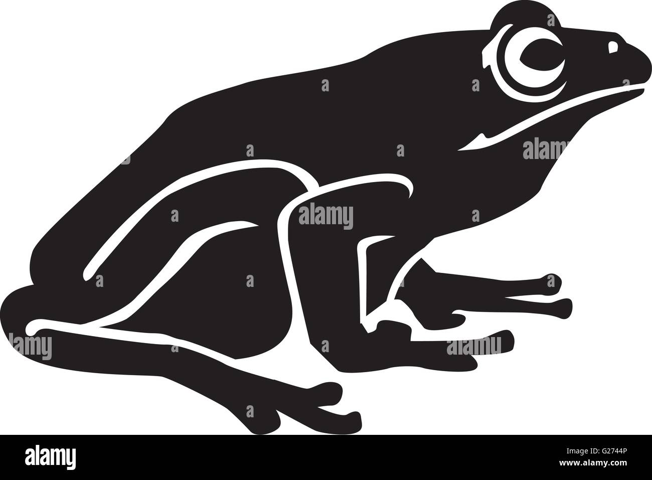 Real toad Stock Vector Images - Alamy