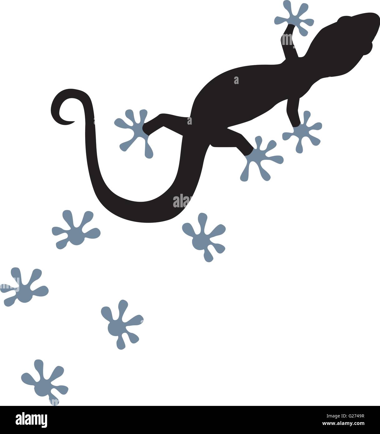 Gecko with footprint Stock Vector Image & Art - Alamy