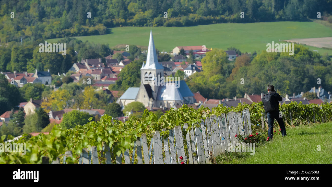 Photographer in action Champagne vineyards in the Cote des Bar area of ...