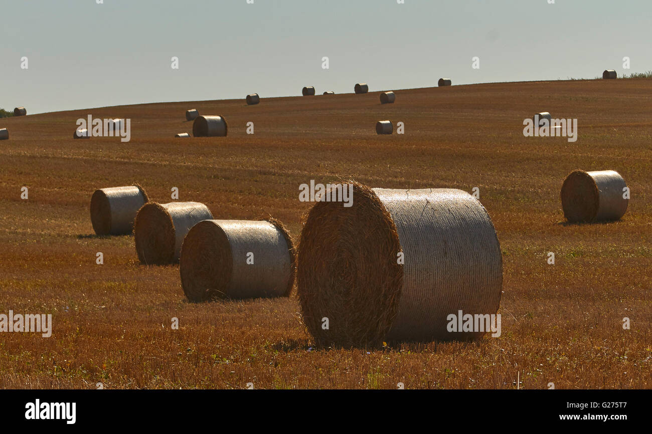 Straw bundle hi-res stock photography and images - Alamy