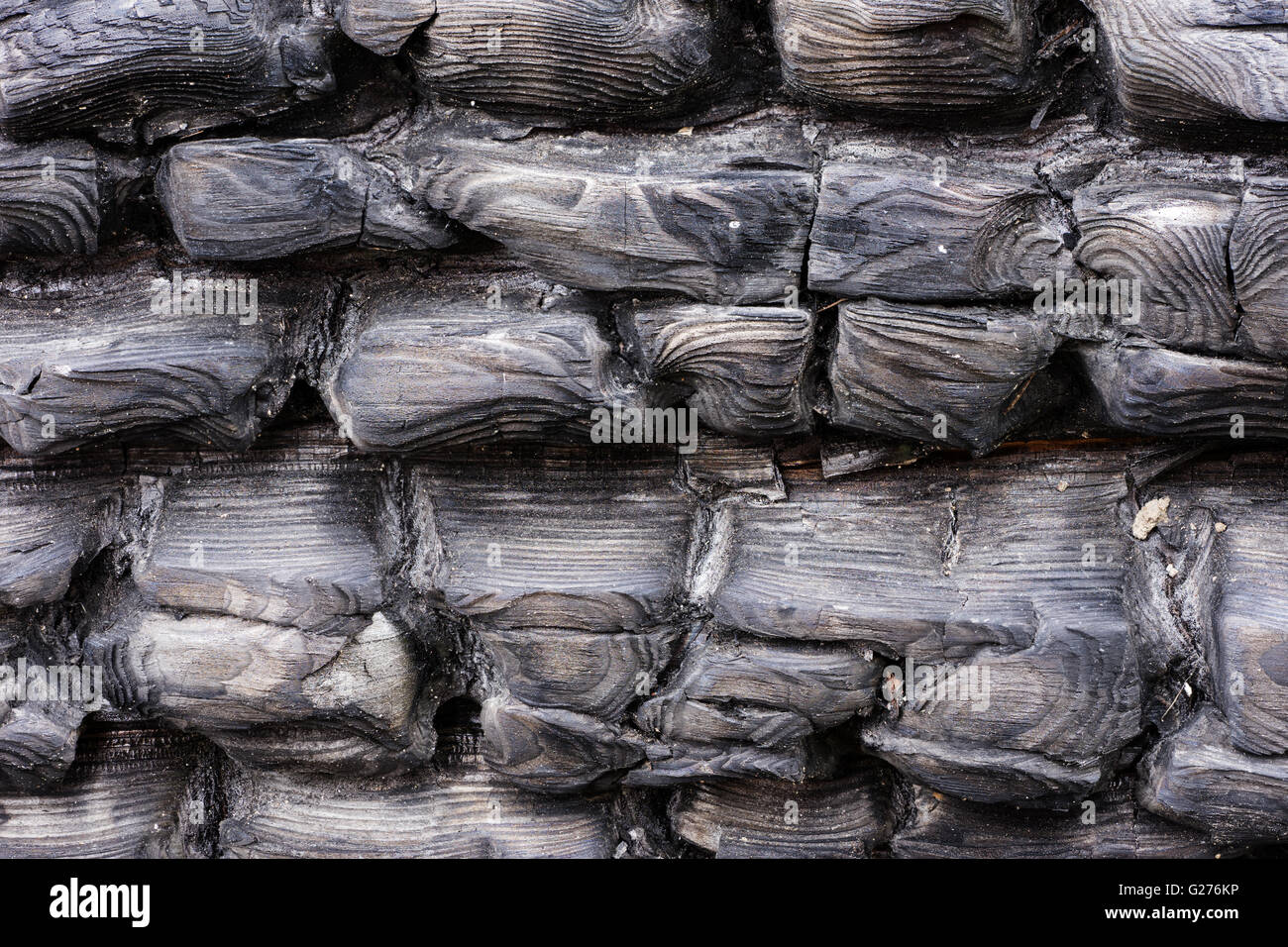Black charred wood pattern. Burned tree texture background. Burnt log ...
