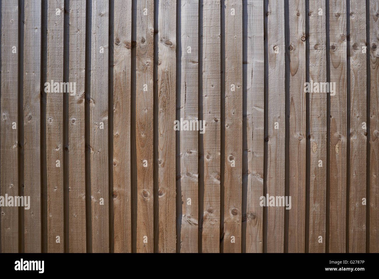 Feather Edge High Resolution Stock Photography and Images - Alamy