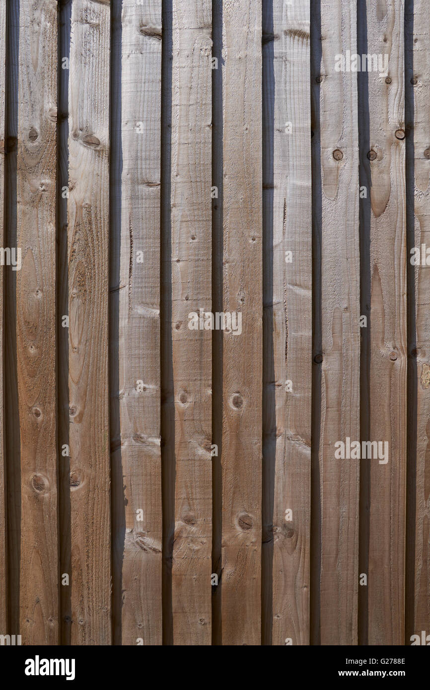 Feather edge hi-res stock photography and images - Alamy