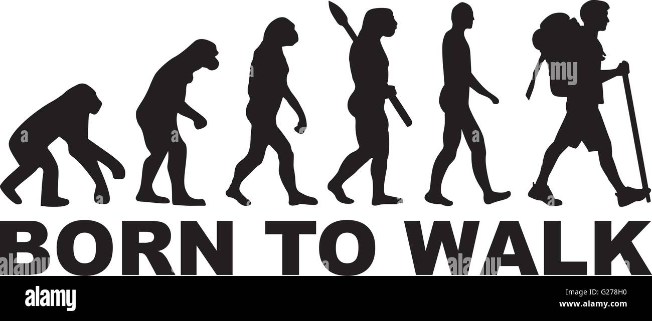Evolution of man walking Stock Vector Images - Alamy
