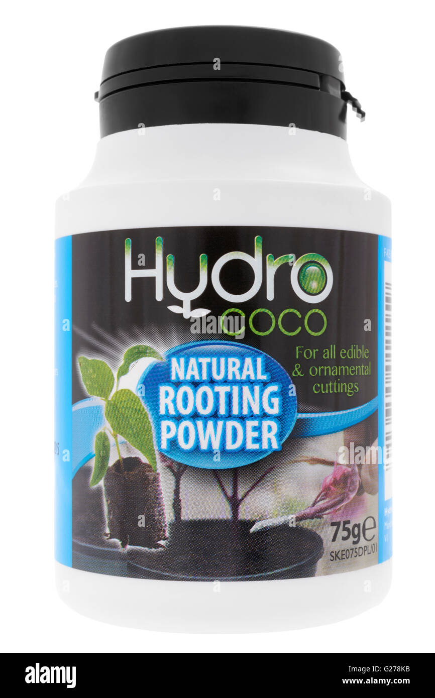 Jar of plant rooting powder on white background Stock Photo - Alamy