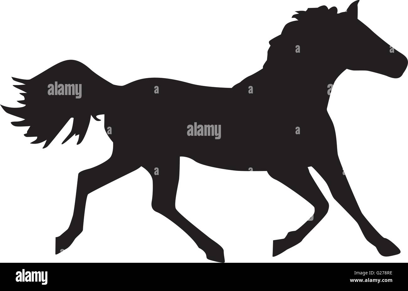 Arabian horse silhouette Stock Vector Image & Art - Alamy