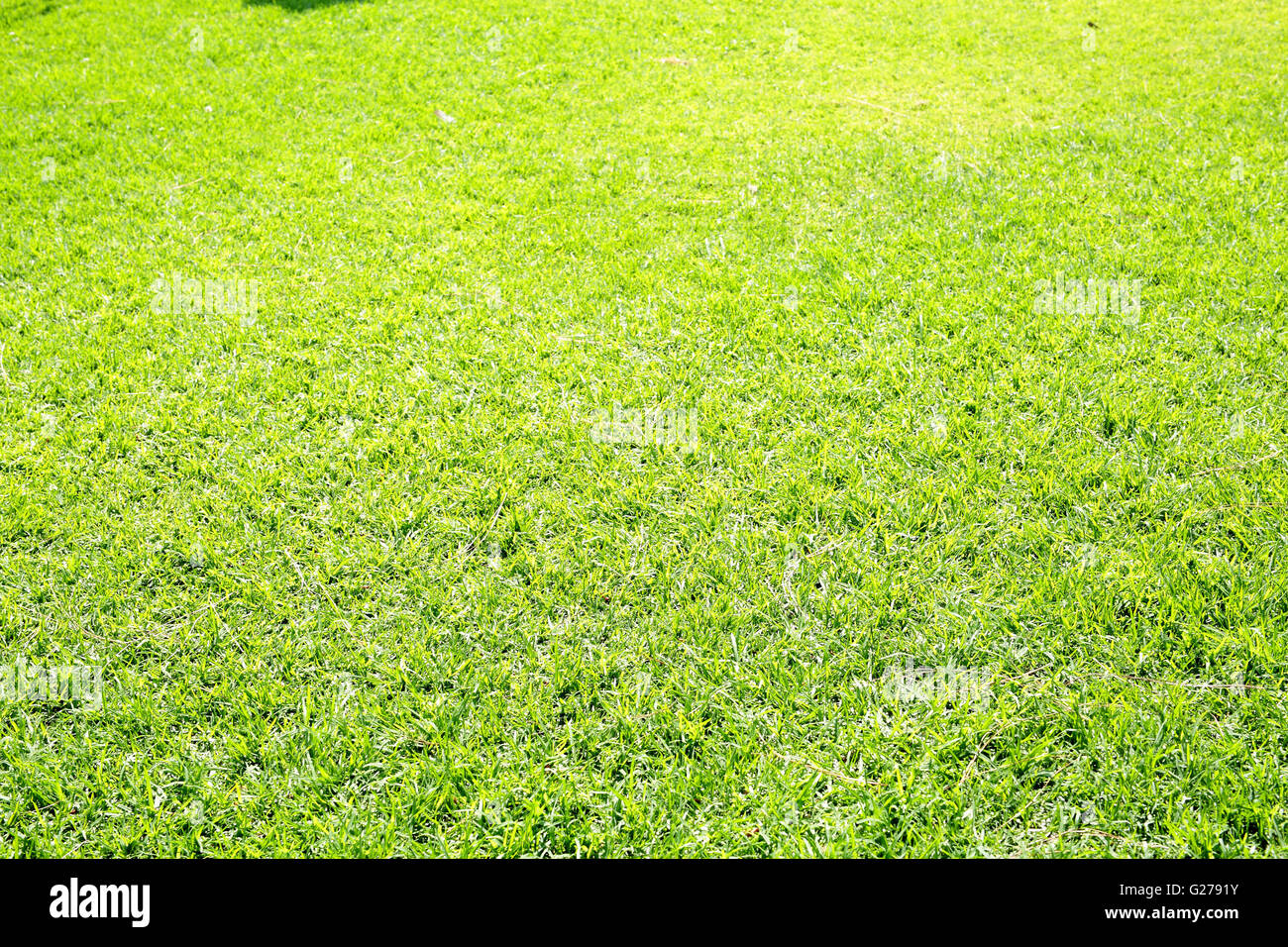 Grass flooring hi-res stock photography and images - Alamy