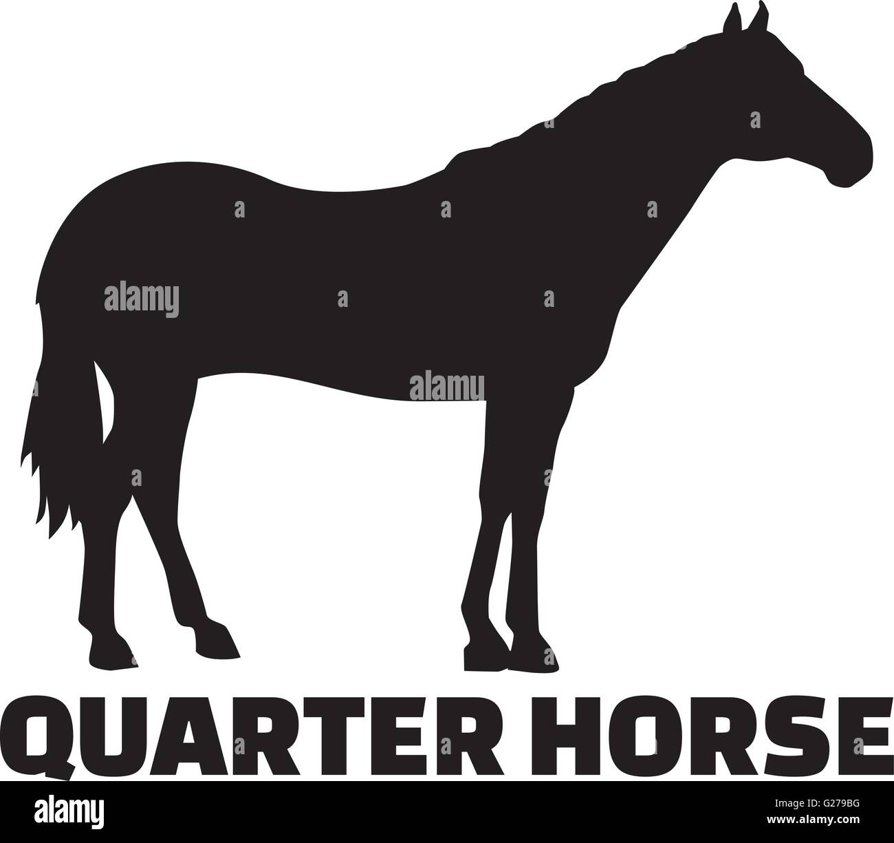 Arabian quarter Stock Vector Images - Alamy