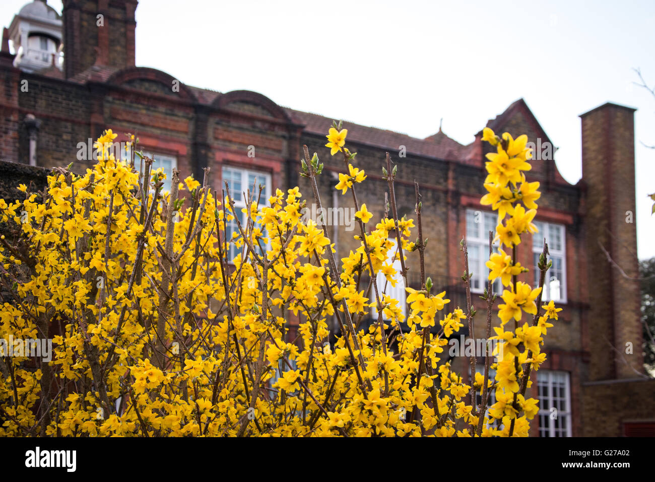 Victorian day primary hi-res stock photography and images - Alamy