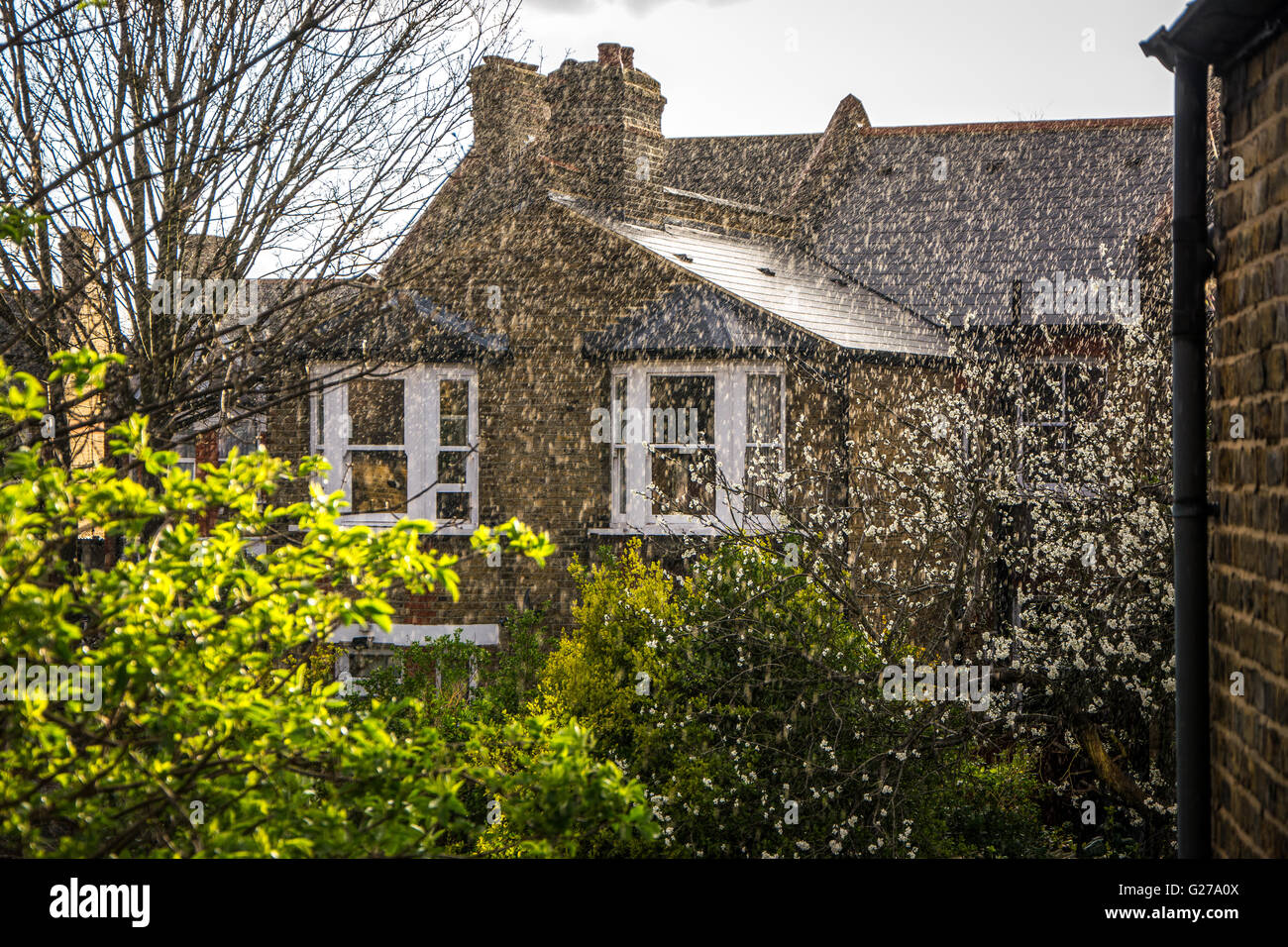 Spring rain england hi-res stock photography and images - Alamy