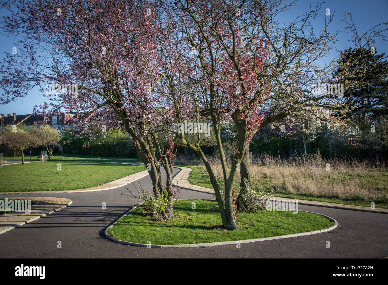 London lordship recreation ground hi-res stock photography and images ...