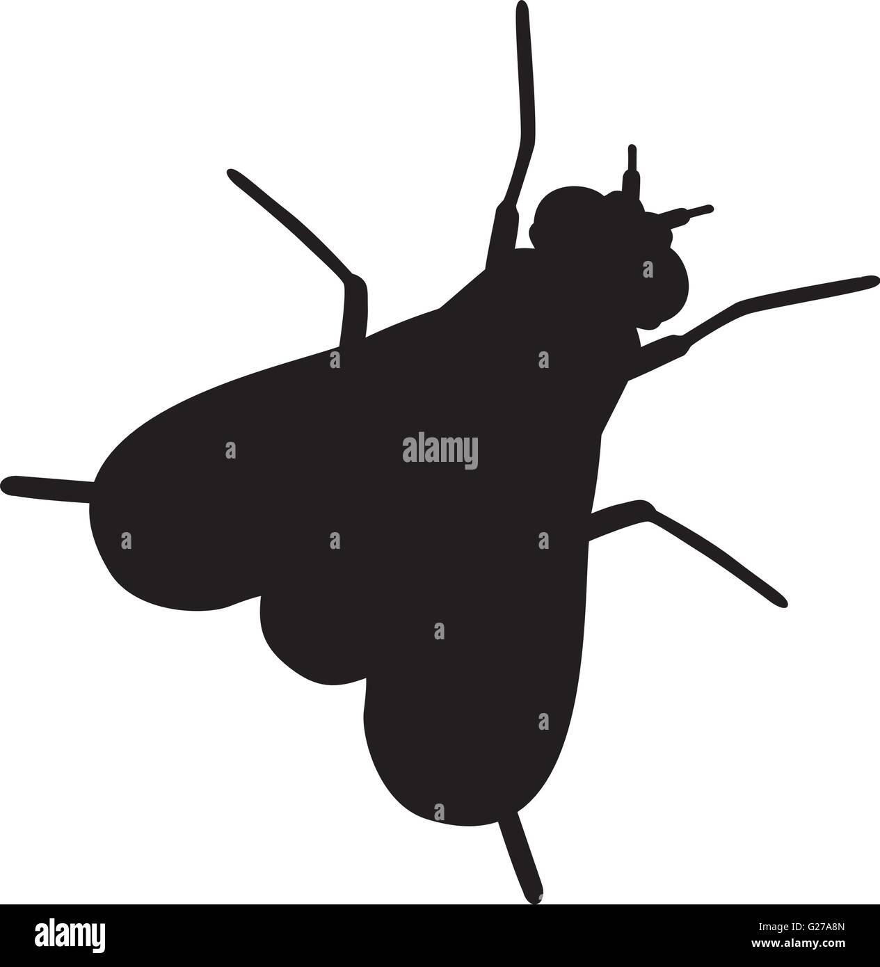 Housefly Stock Vector Images - Alamy